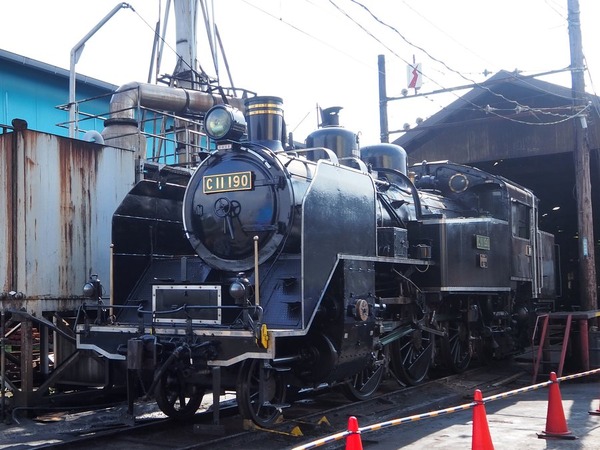 大井川鐡道のSL列車が再開…C11 190の修繕が完了 10月8日 | レスポンス（Response.jp）