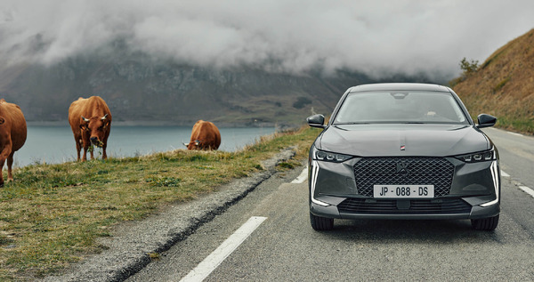 DS 4 の特別仕様「パフォーマンスライン」発売…プレミアムとスポーツテイストを融合 | レスポンス（Response.jp）